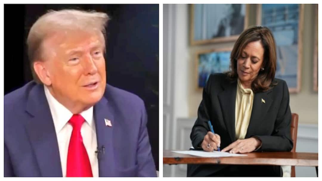 us election 2024 update what happens if tie in american president ...