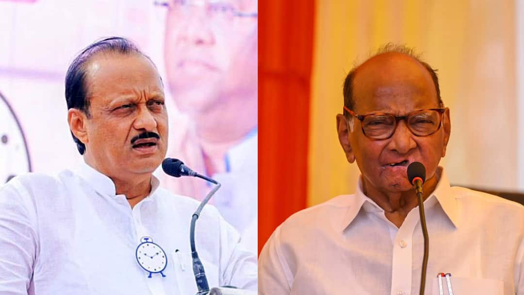 ajit pawar vs yugendra pawar baramati vidhan sabha election sharad pawar effect on Maharashtra ...