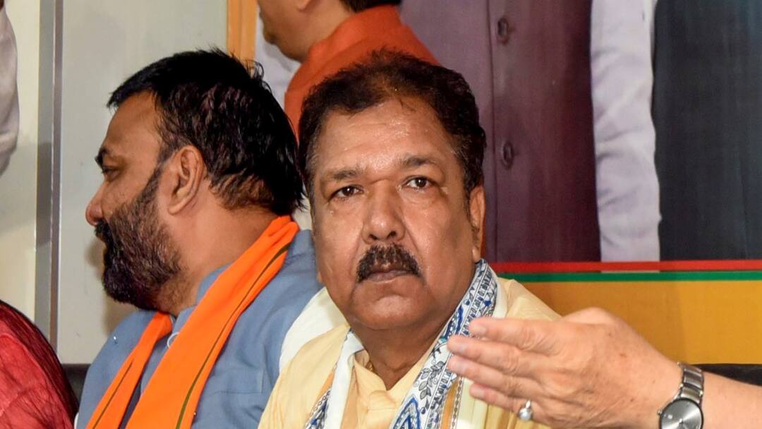 BJP Dilip Kumar Jaiswal statement on Bihar land survey RJD and revenue ...