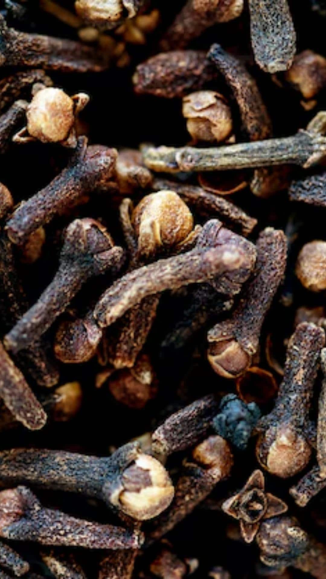 बालकनी में कैसे उगा सकते हैं लौंग