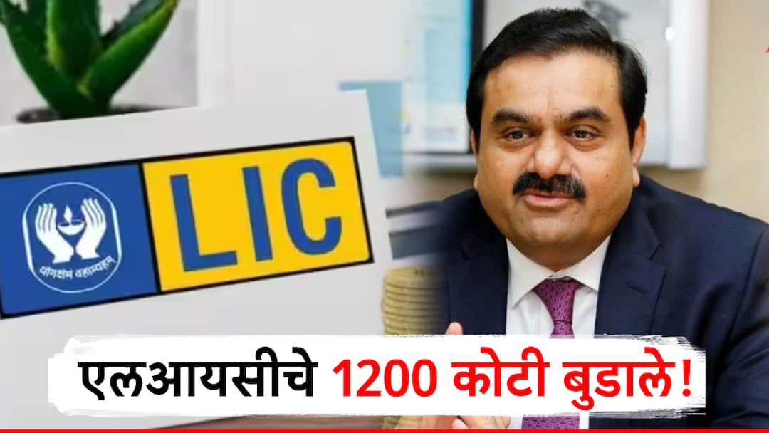 lic loses total 1200 crore after adani industries company share drop after allegation in america ...