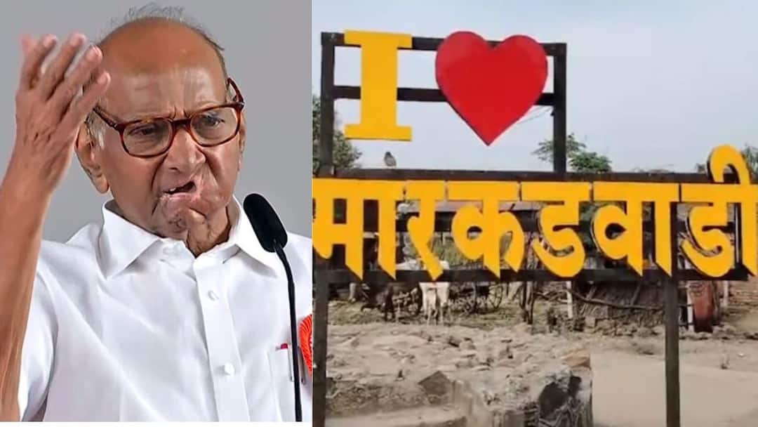 Malshiras Assembly Constituency News Sharad Pawar will visit Markadwadi village, Rahul Gandhi ...