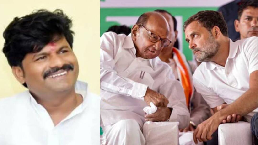 BJP MLA Gopichand Padalkar criticizes Sharad Pawar and Rahul Gandhi on EVM issue | आता प्रति ...