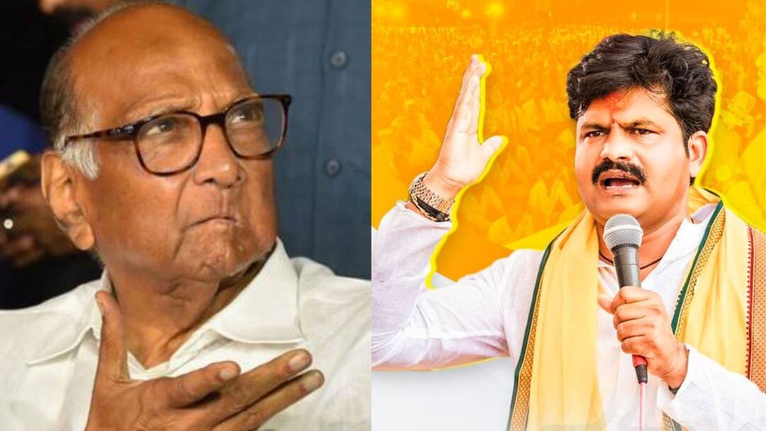 Gopichand Padalkar on Sharad Pawar BJP MLA Gopichand Padalkar criticizes on Sharad Pawar on EVM ...