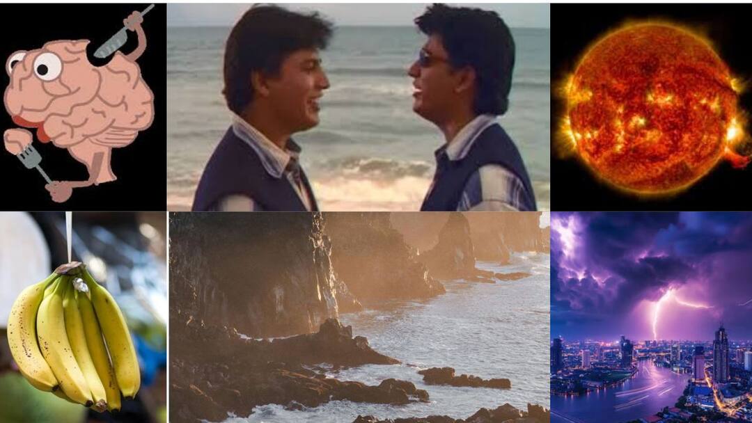 wow science facts know these important things we see everyday human ...