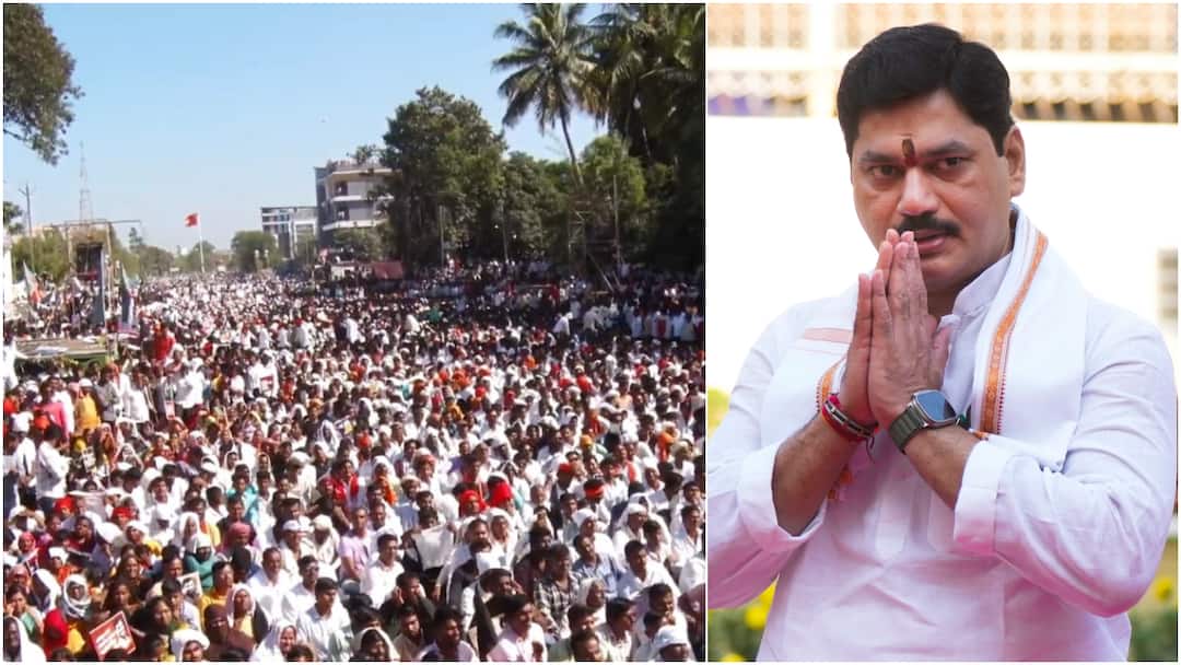 Beed Sarpanch Murder: Mahayuti MLAs Join Calls For Minister Munde’s ...