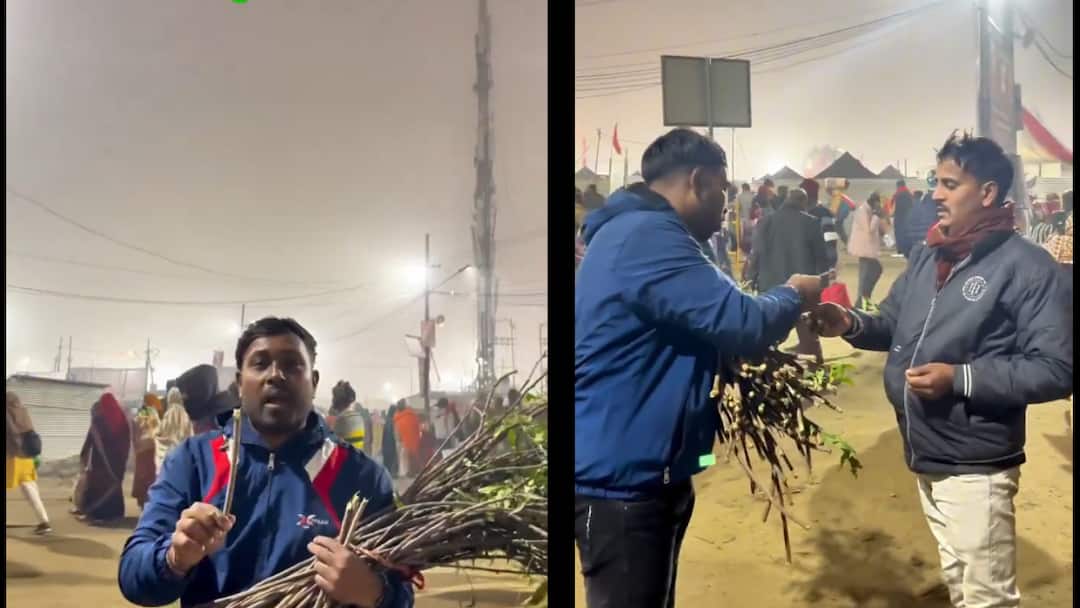 Maha Kumbh 2025 Crowd Gives 'Neem Datoon' Vendor A '40 Crore' Business Idea, See Viral Video
