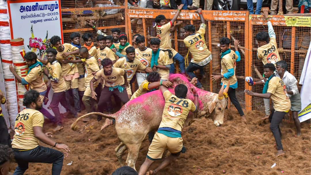 Avaniyapuram Jallikattu: Best Dodging Bull Owner Awarded Tractor; 1 ...