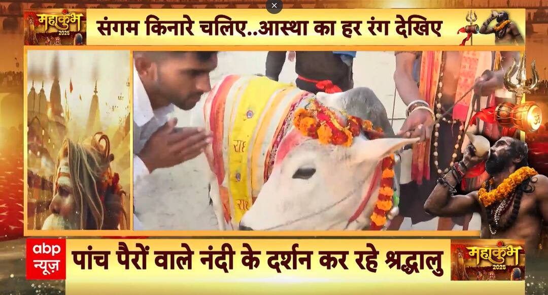 Mahakumbh 2025: Five-Legged Nandi Maharaj Becomes the Center of ...