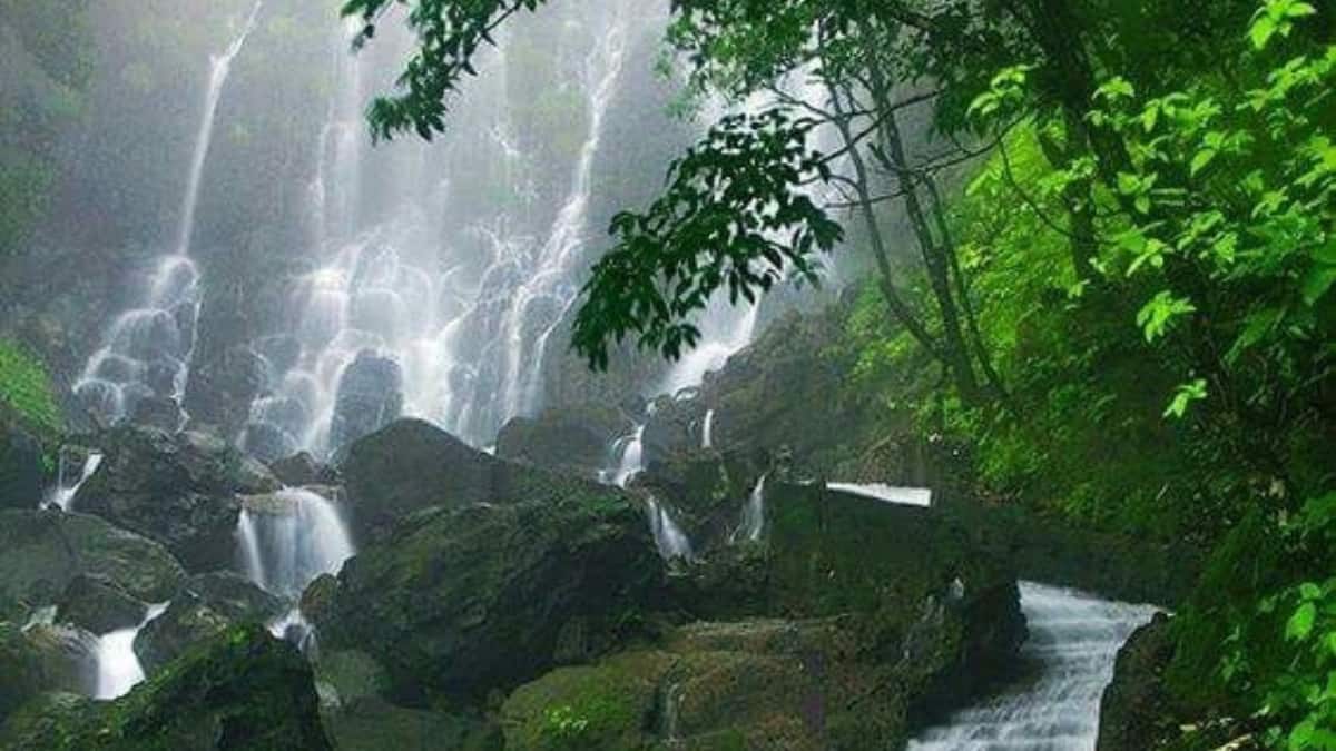 From Kaas Plateau To Amboli Ghat: Natural Scenic Attractions Of ...
