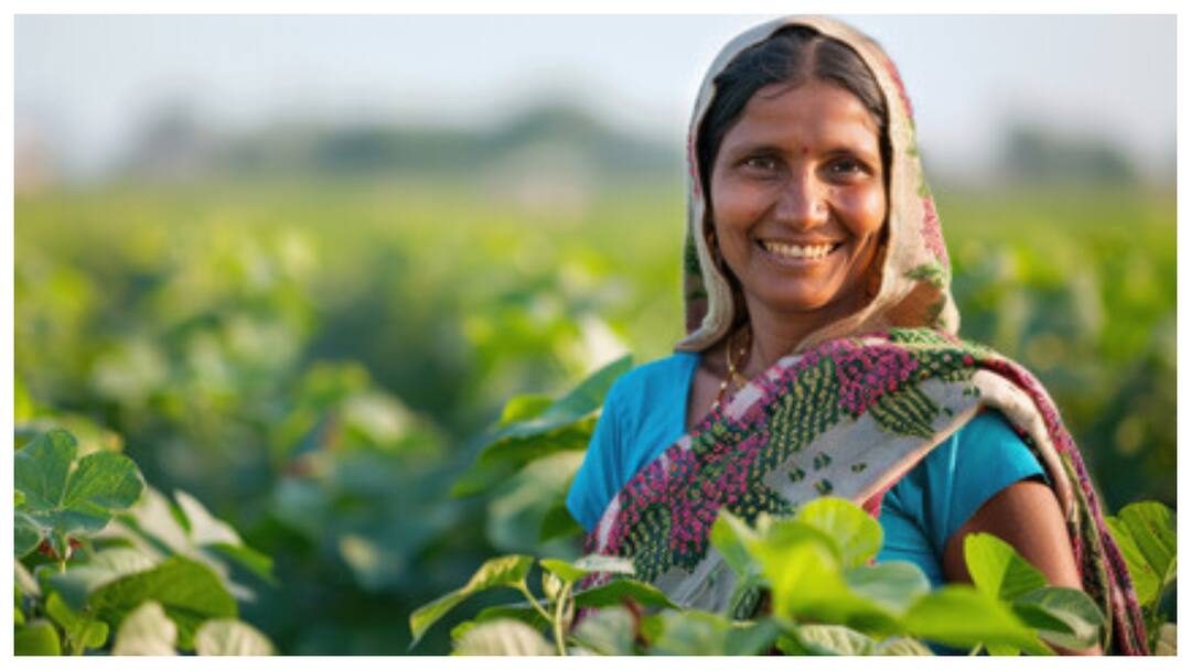 pm surya ghar scheme for dwcra group women in andhra pradesh | PM ...