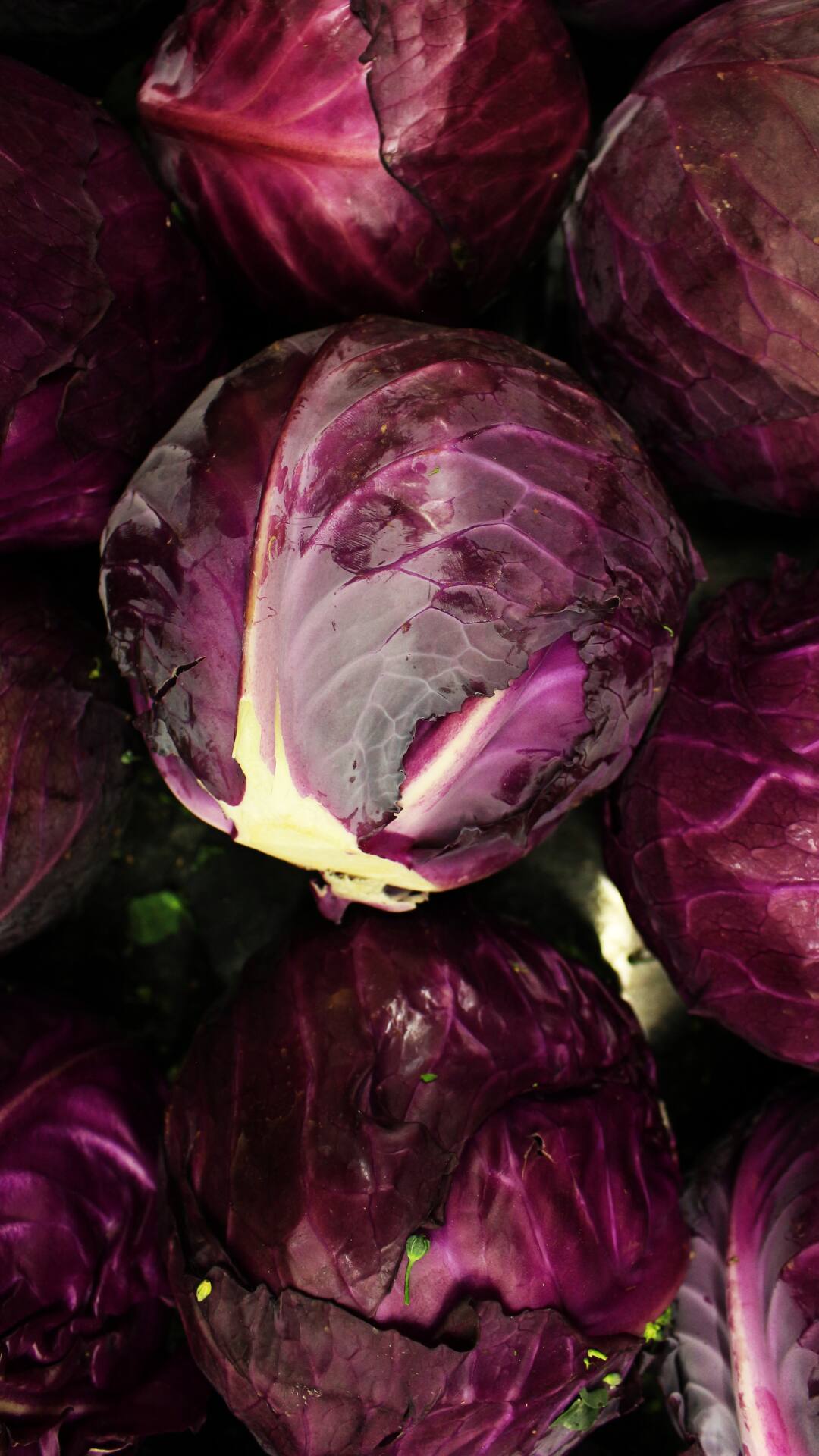 10 Health Benefits Of Red Cabbage