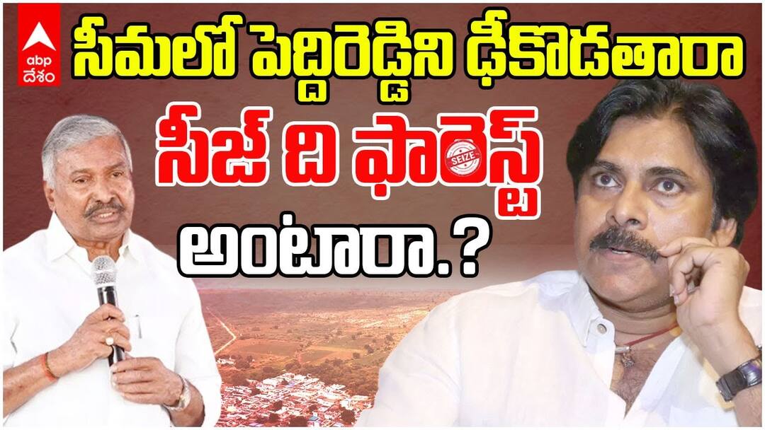 Pawan kalyan vs Peddireddy Ramachandra reddy | Pawan kalyan vs Peddireddy Ramachandra reddy ...