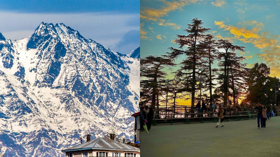 Snowfall in Shimla Chamba, Lahaul Spiti, Kinnaur, Kullu, Kangra, Mandi himachal pradesh weather ...