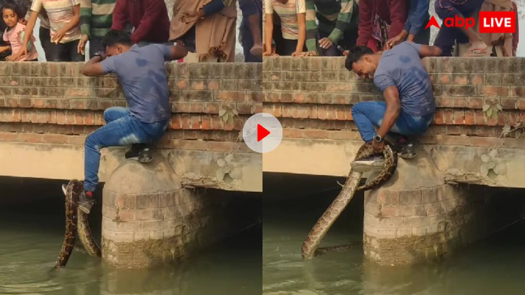 Man sees python fearlessly coming out of canal video goes viral | इसे ...