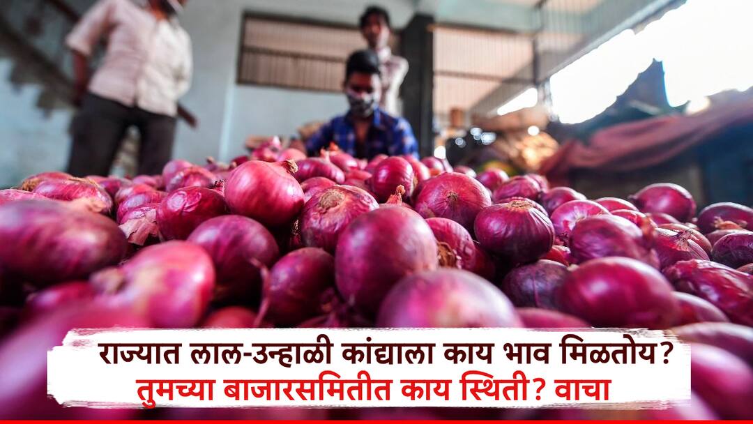 Onion Market Maharashtra High Inflow of Unhali and Red Onions in Maharashtra Check Prices in ...
