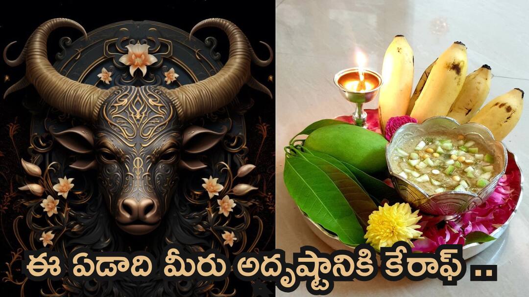 ugadi panchangam 2025 2026 telugu new year sri vishwavasu nama ...