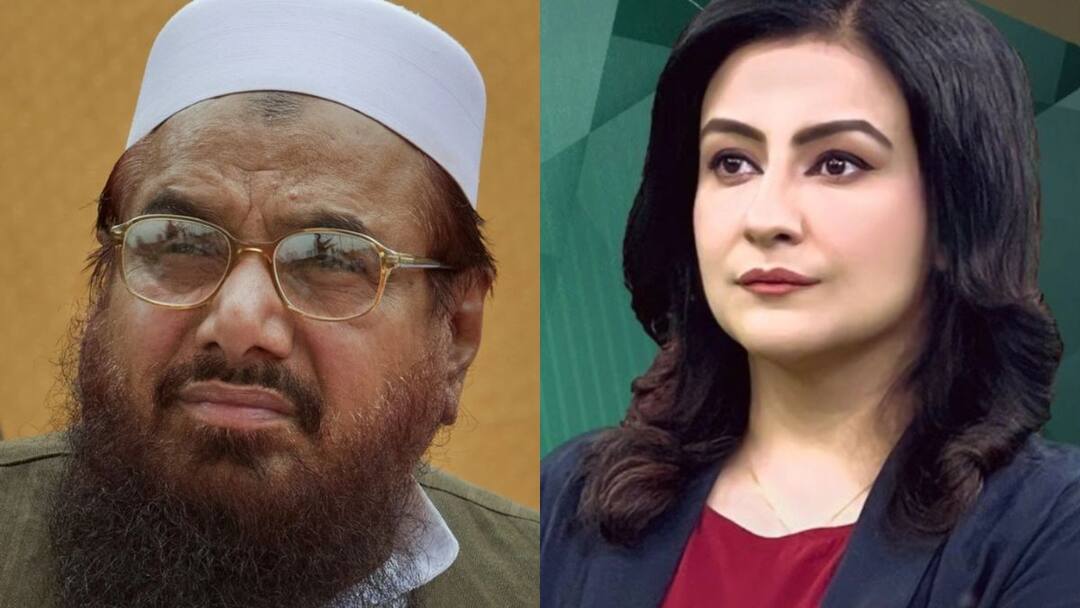 Pakistan journalist Mona Alam calls the news of Lashkar chief Hafiz Saeed death a rumour | क्या ...