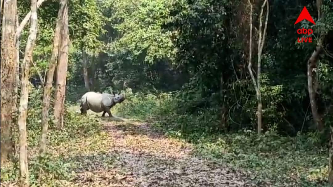 Alipurduar News Rhino Census Jaldapara National Park count increased ...