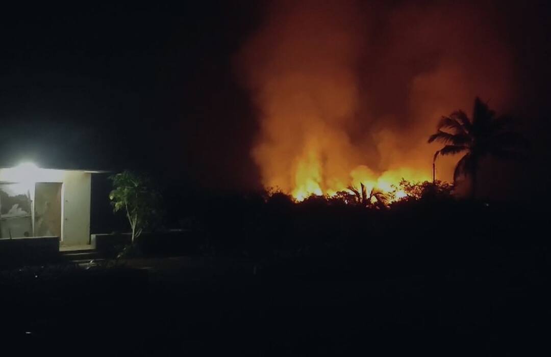 Wildfire continues in Konkan a massive fire breaks out on a mountain in ...