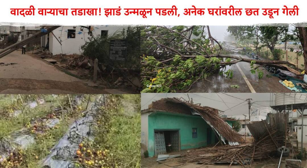 Unseasonal rains in East Vidarbha maharashtra weather news update Paddy crops including mango ...