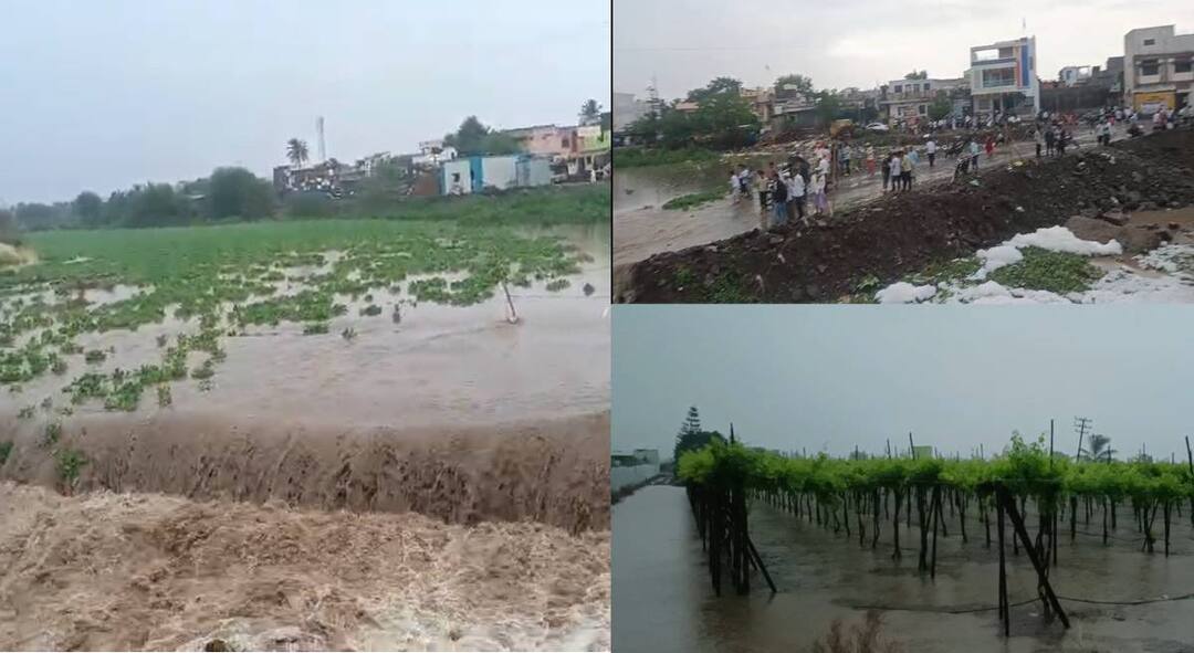 Maharashtra Weather Update Heavy rains wreak havoc across the state imd forecast Banganga river ...