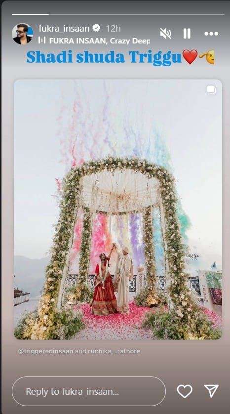 Abhishek Malhan Reacts to Brother Nischay Malhan's Wedding With Ruchika Rathore