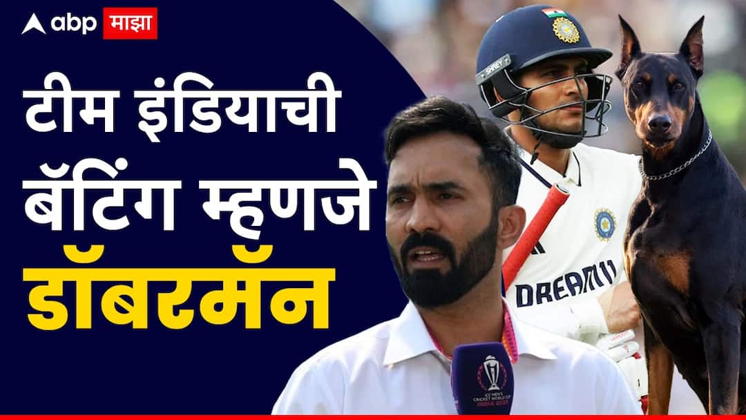 indian cricket team batting line up like dobermann dog dinesh karthik ...