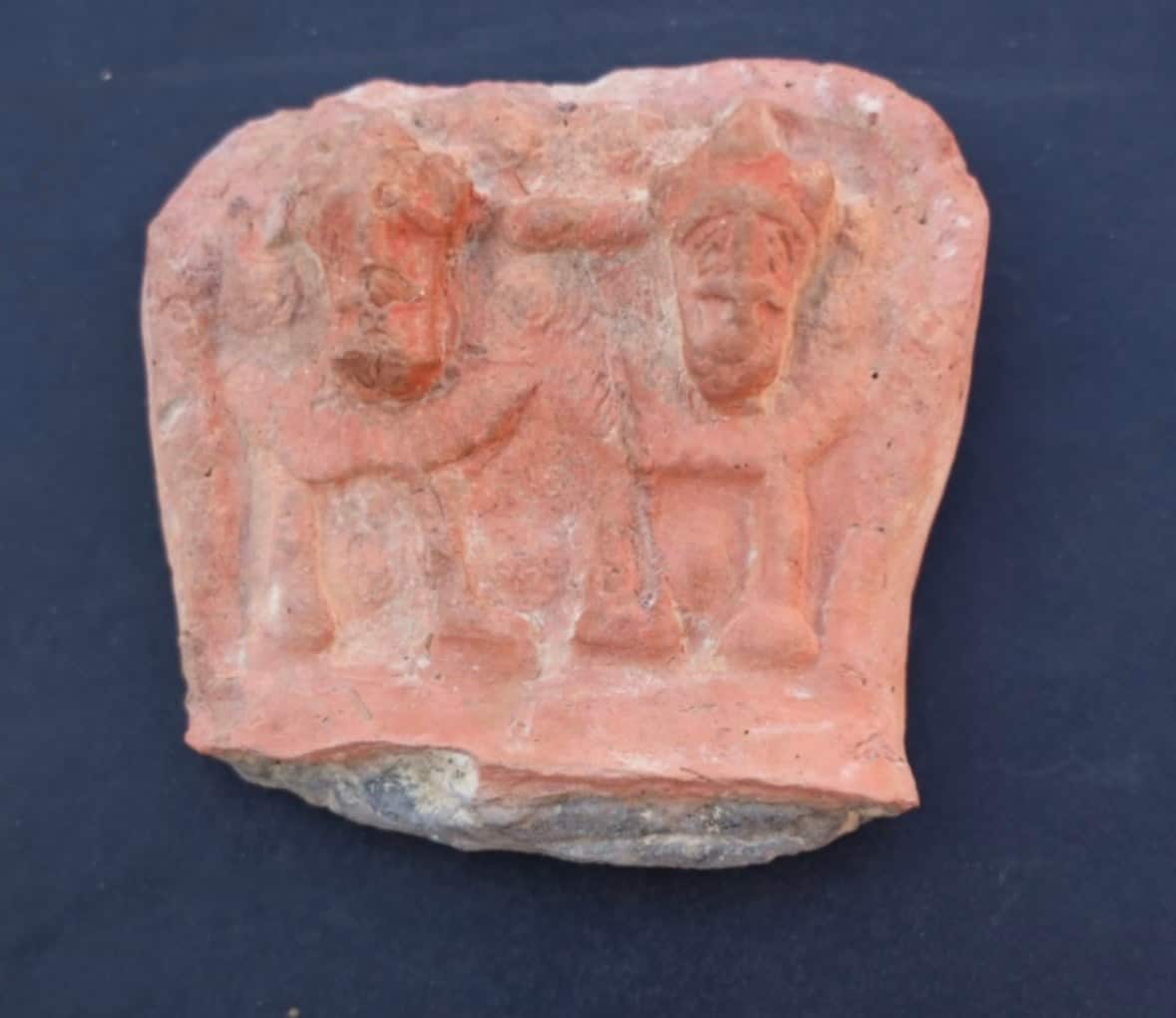 Deeg Unearths Indian History: OCP Pottery, Shiva-Parvati Idol, Dried ...