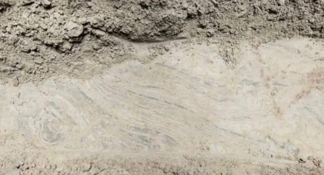 Deeg Unearths Indian History: OCP Pottery, Shiva-Parvati Idol, Dried ...