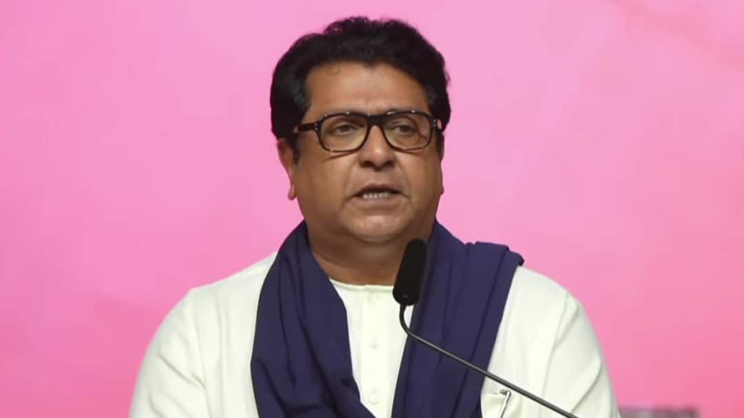 Raj Thackeray Rally Shocking Advice To MNS Workers Over Marathi 'Beat Them But Don't Film'