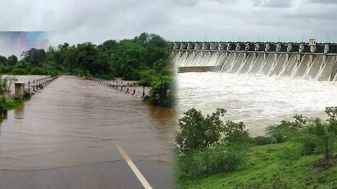 Vidarbha Rain Update Rains wreak havoc in East Vidarbha Flood in Gadchiroli district All 33 ...
