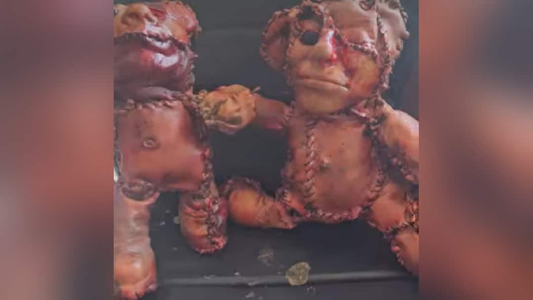 Bizarre ‘Human-Skin’ Teddy Bear Found In California Sparks Panic—Turns ...