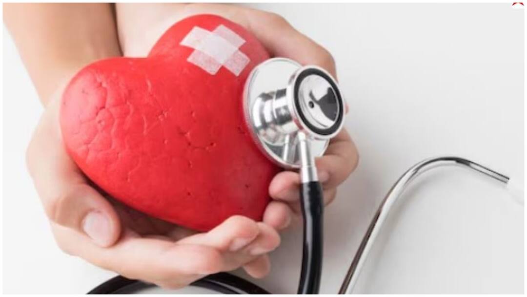 Healthy Food for Heart : కొలెస్ట్రాల్ ని తగ్గించి.. గుండె ఆరోగ్యానికి ...