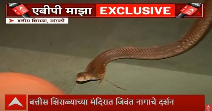 Nag Panchami 2025: 23 वर्षांनंतर सांगलीमधील बत्तीस शिराळ्याच्या मंदिरात ...
