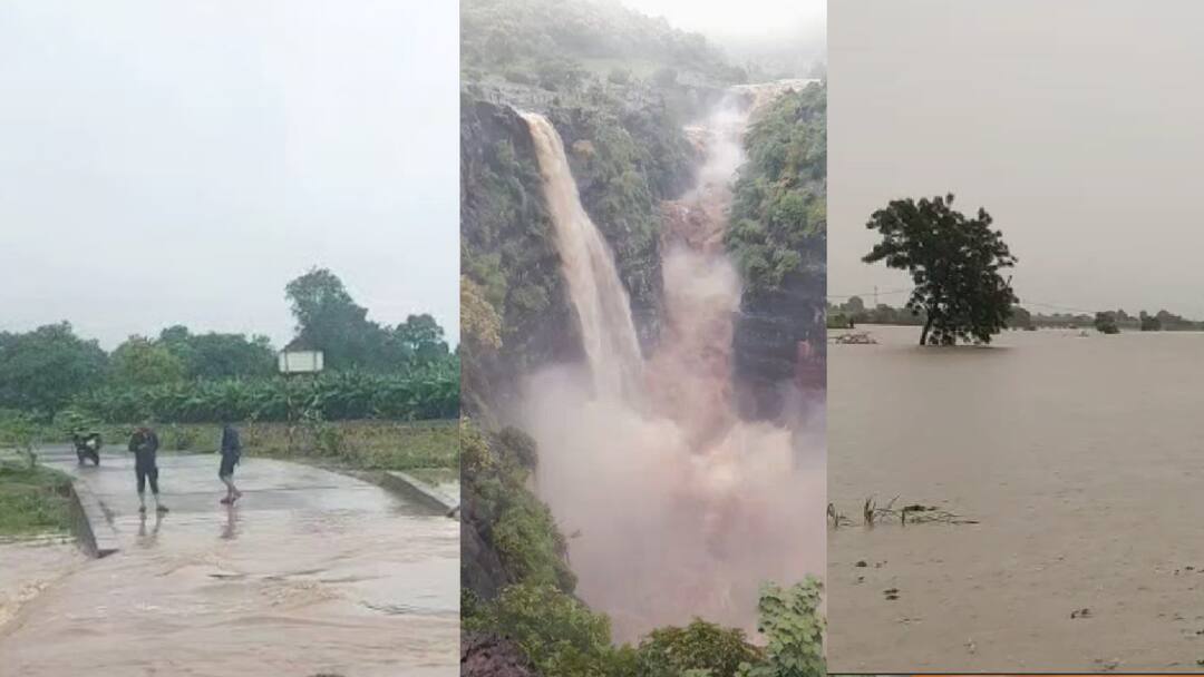 Vidarbha Rain: विदर्भात मुसळधार पावसाचा कहर!धरणांचे दरवाजे उघडले,पूराच्या पाण्यात जनजीवन ठप्प ...