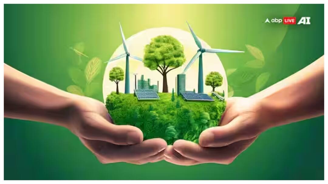 Patanjali Environmental Protection : సేంద్రీయ వ్యవసాయం నుంచి సోలార్ ...