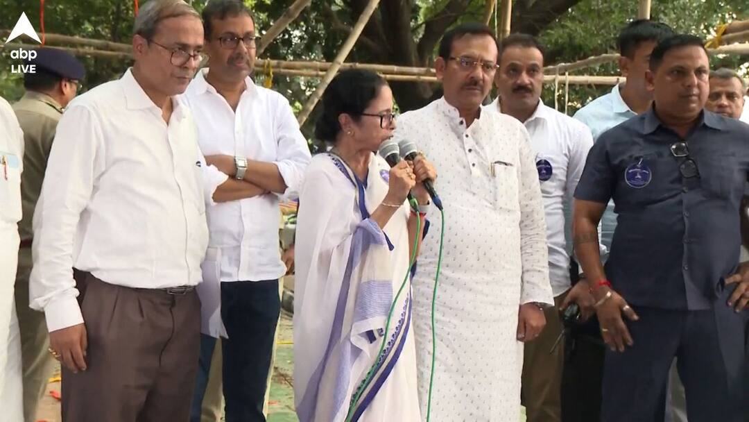 Mamata Banerjee: 'সেনাকে যখন বিজেপির কথায় চলতে হয় তখন দেশটা কোথায় ...
