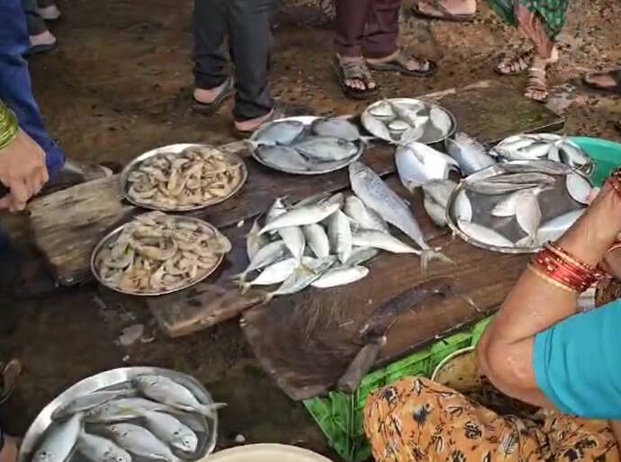 PHOTOS : गणपती गावाला जाताच 'श्रावण' सुटला, मच्छीमार्केट अन् मटनाच्या ...