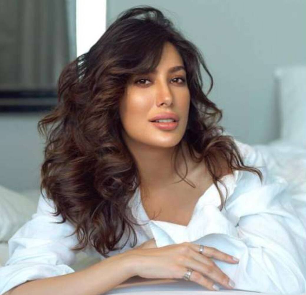 Dawood Ibrahim Love Mehwish Hayat: दाऊद इब्राहिम हिच्या प्रेमात झालेला ...