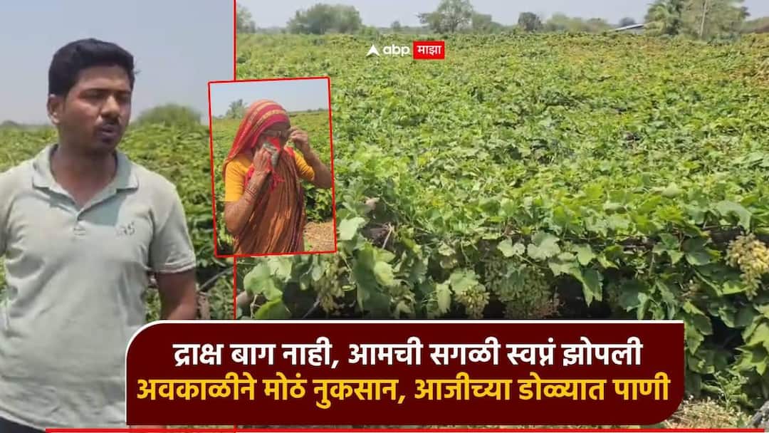द्राक्ष बागच नाही, आमची सगळी स्वप्न झोपली; अवकाळीने तरुण शेतकऱ्याचं ...