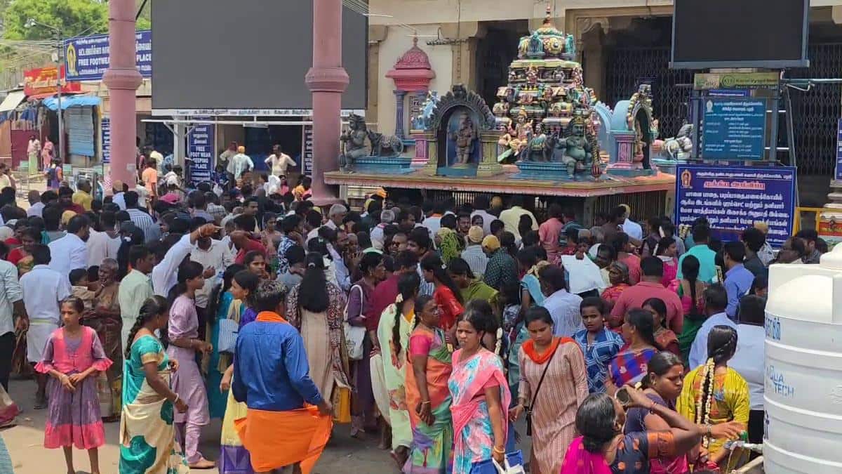 சித்ரா பவுர்ணமி 2026: பழனி முருகன் கோயிலில் பக்தர்கள் வெள்ளம்! நீண்ட ...